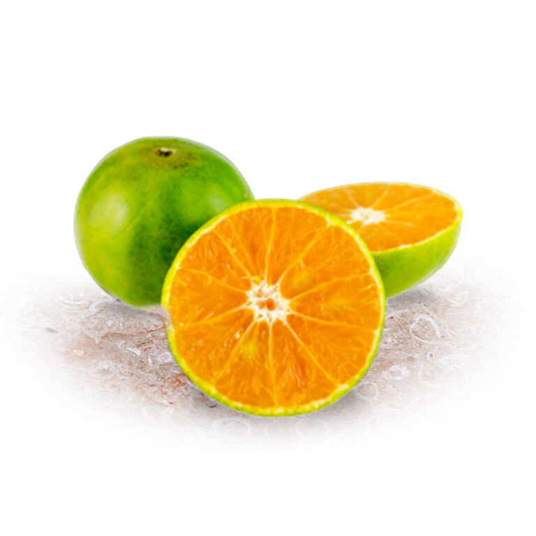 Arpen - Fruit extracts from producers in the Yucatan Peninsula