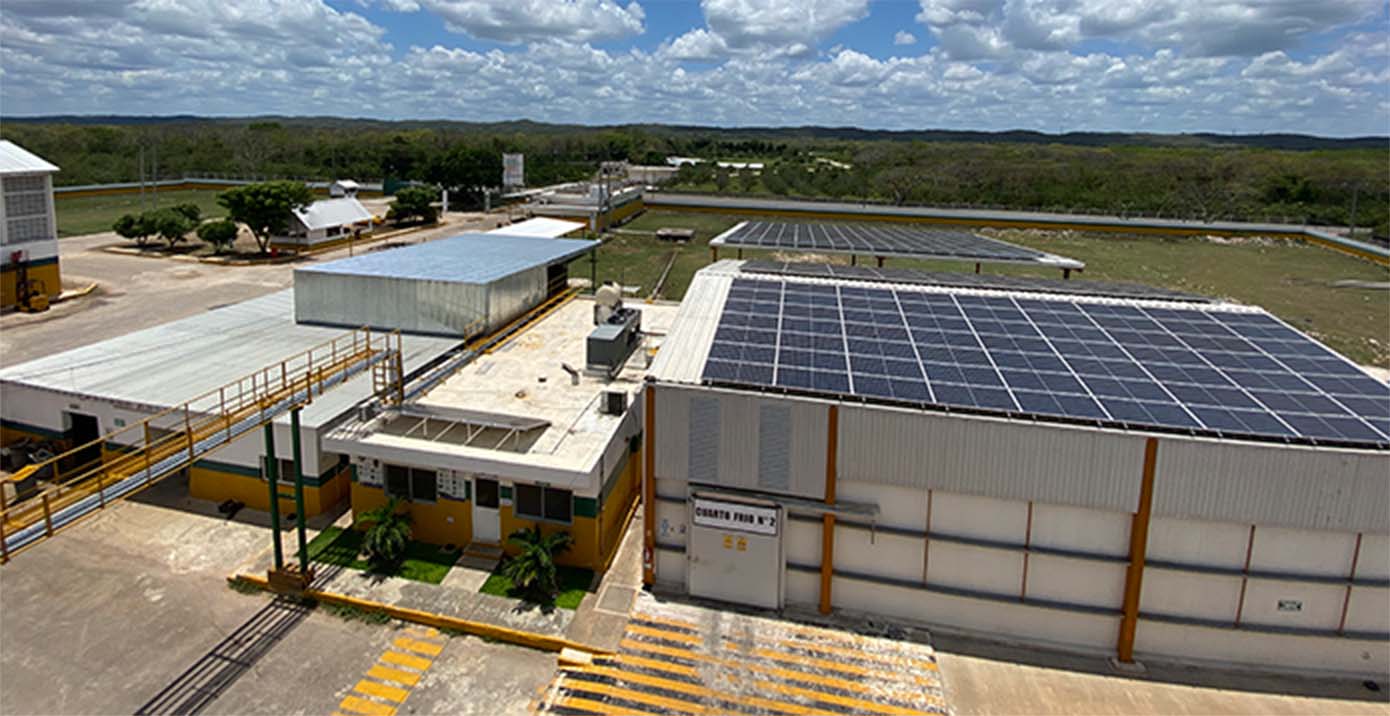 Arpen - Fruit extracts from producers in the Yucatan Peninsula